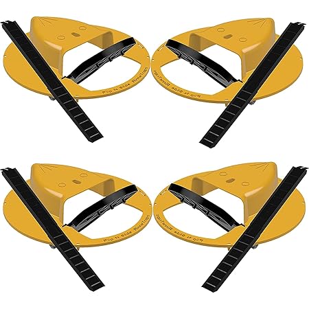 Amazon.com : RinneTraps - Flip N Slide Bucket Lid Mouse Trap |Humane or ...