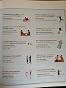 English for everyone. Livello 4° avanzato. Il corso : Boobyer, Victoria ...