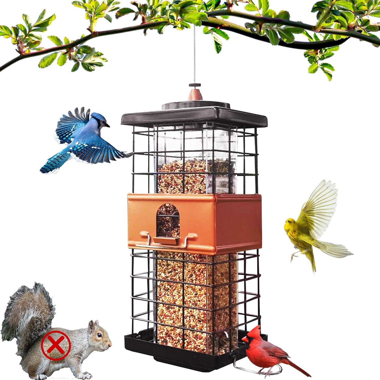 Amazon.com : Bird Feeder for Outside, Squirrel Proof Bird Feeders with ...