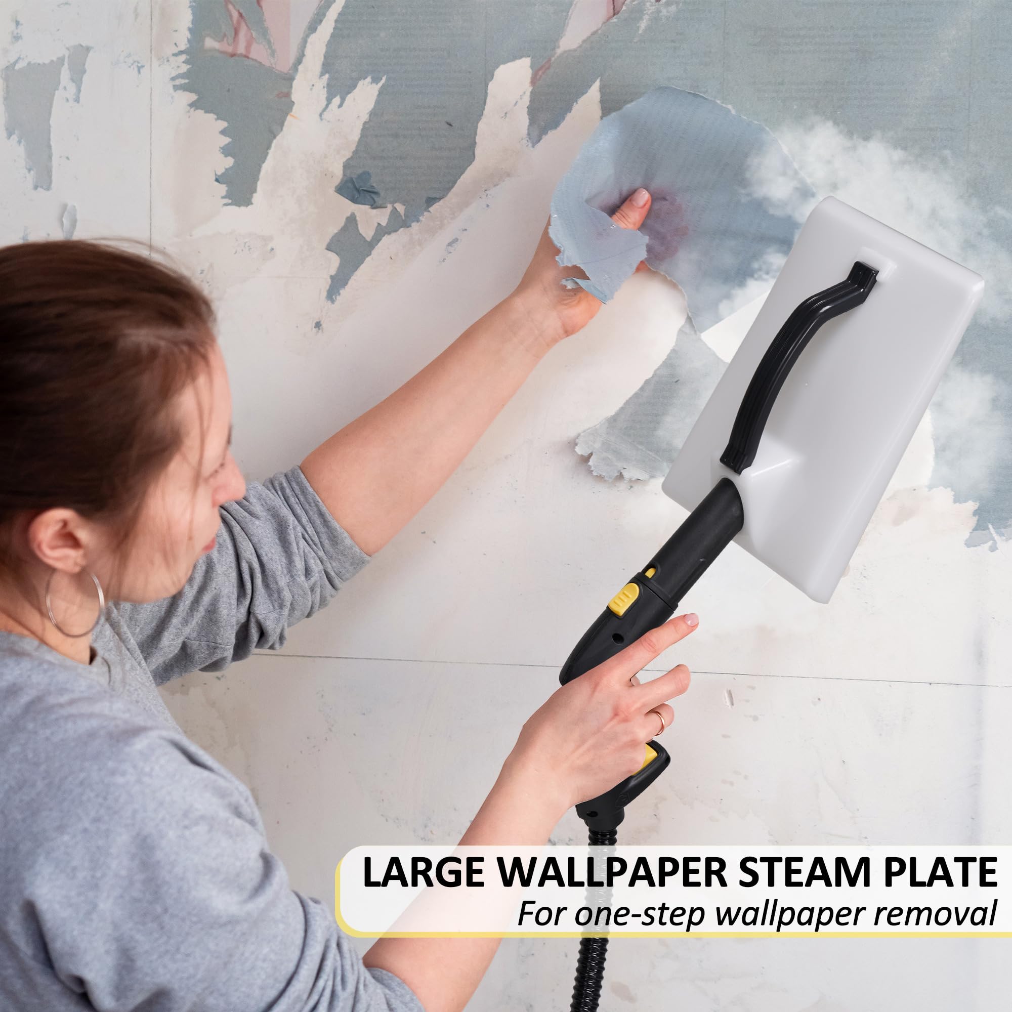 Spurgehom Home Steam Cleaner, Chemical Free Pressurized Disinfection ...