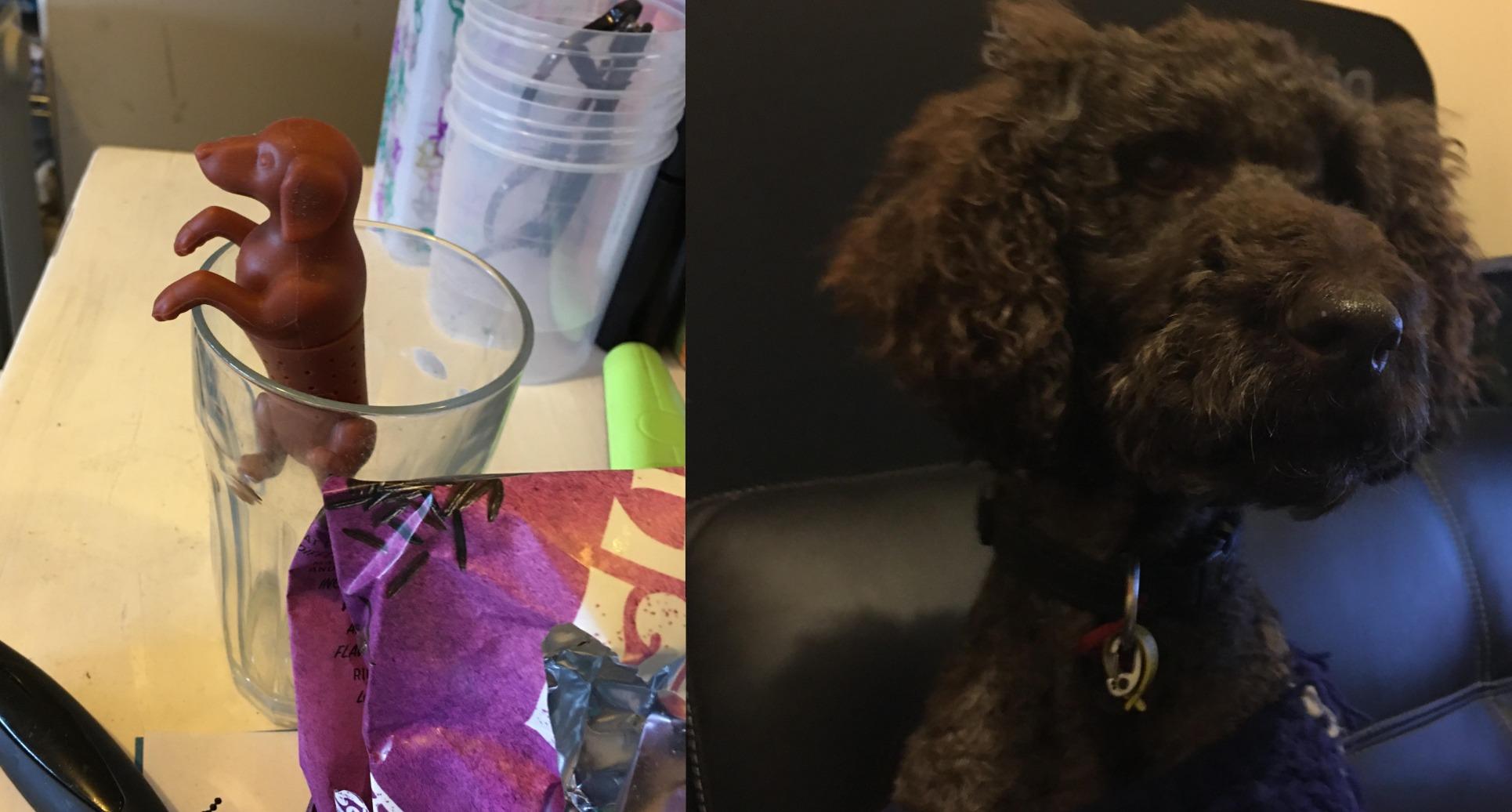 Fred Hot Dog Tea Infuser, Brown : Amazon.com.au: Pantry Food & Drinks