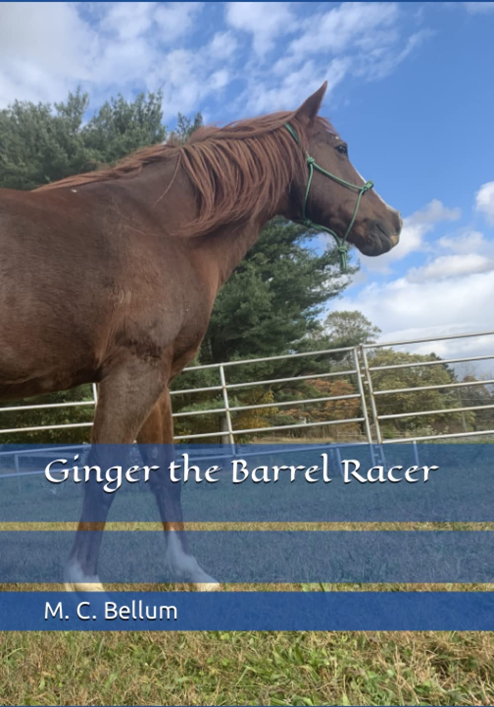 Ginger the Barrel Racer: Bellum, M. C.: 9798370072031: Amazon.com: Books