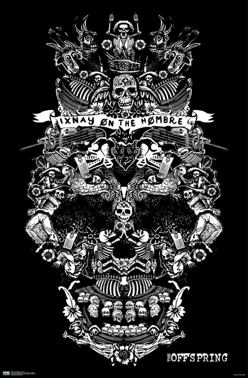 Amazon.com: Trends International The Offspring - Skull Wall Poster, 13 ...