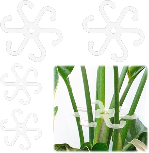 Amazon.com : BOXOB 4pcs Climbing Houseplant Stem Supports with Holes, 2 ...