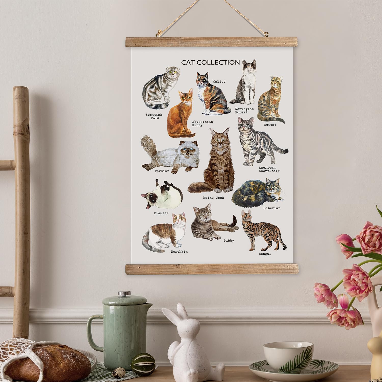 Snapklik.com : XIAOAIKA Cat Breeds Educational Poster - Illustrated ...