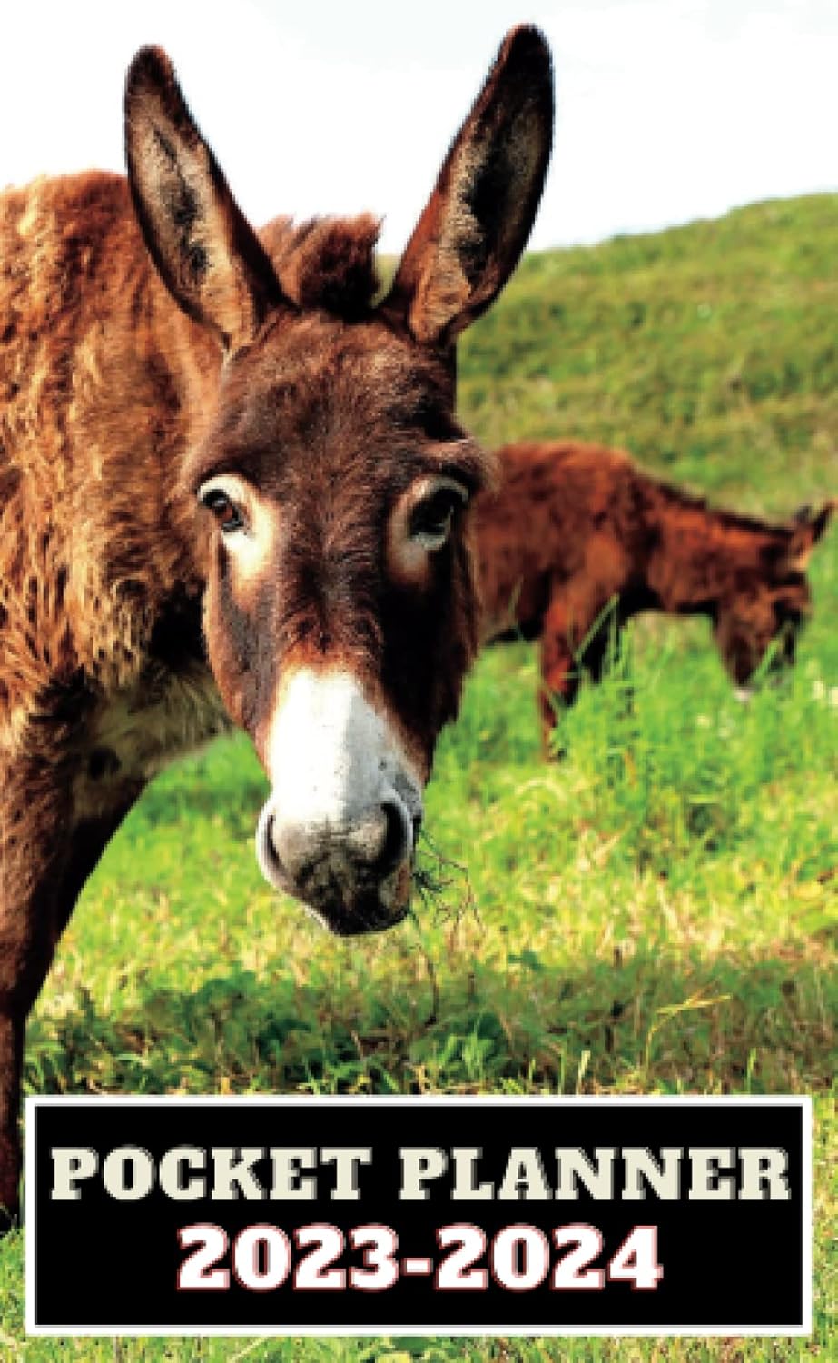 2023-2024 Donkeys Pocket planner: Cute Donkey Pocket Planner|2 Year ...