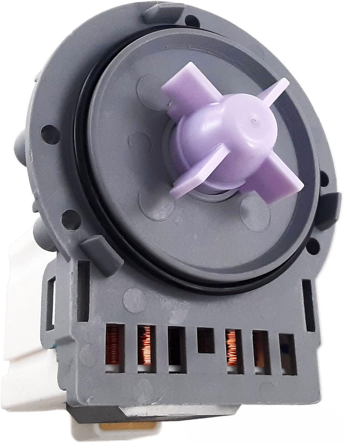 Amazon.com: GLOB PRO SOLUTIONS - Hanning Commercial Washer Water Pump ...