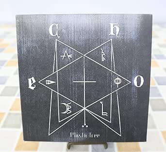 Amazon.co.jp: echo ＜初回限定盤＞ Plastic Tree VIZL-642 H0106 : おもちゃ