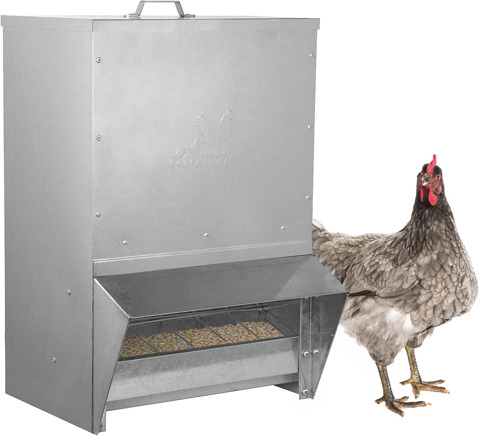 Amazon.com : automatic chicken feeder system - 30-50lb capacity ...