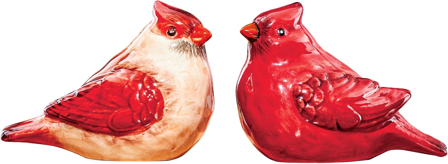Abbott 27-Shaker/Card Cardinal Salt/Pepper Shakers : Amazon.ca: Home