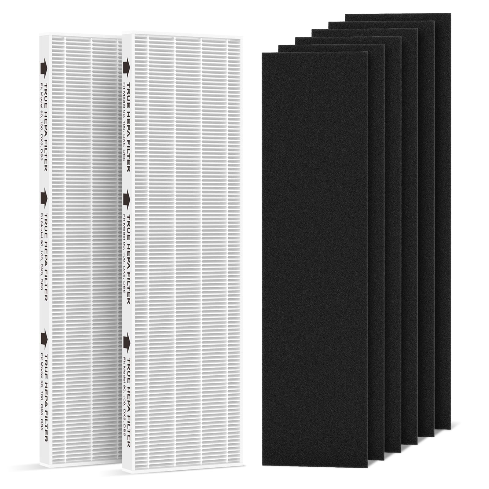 SAKEGDY HEPA Replacement Filter, Compatible with Fellows AeraMax 90 100 ...