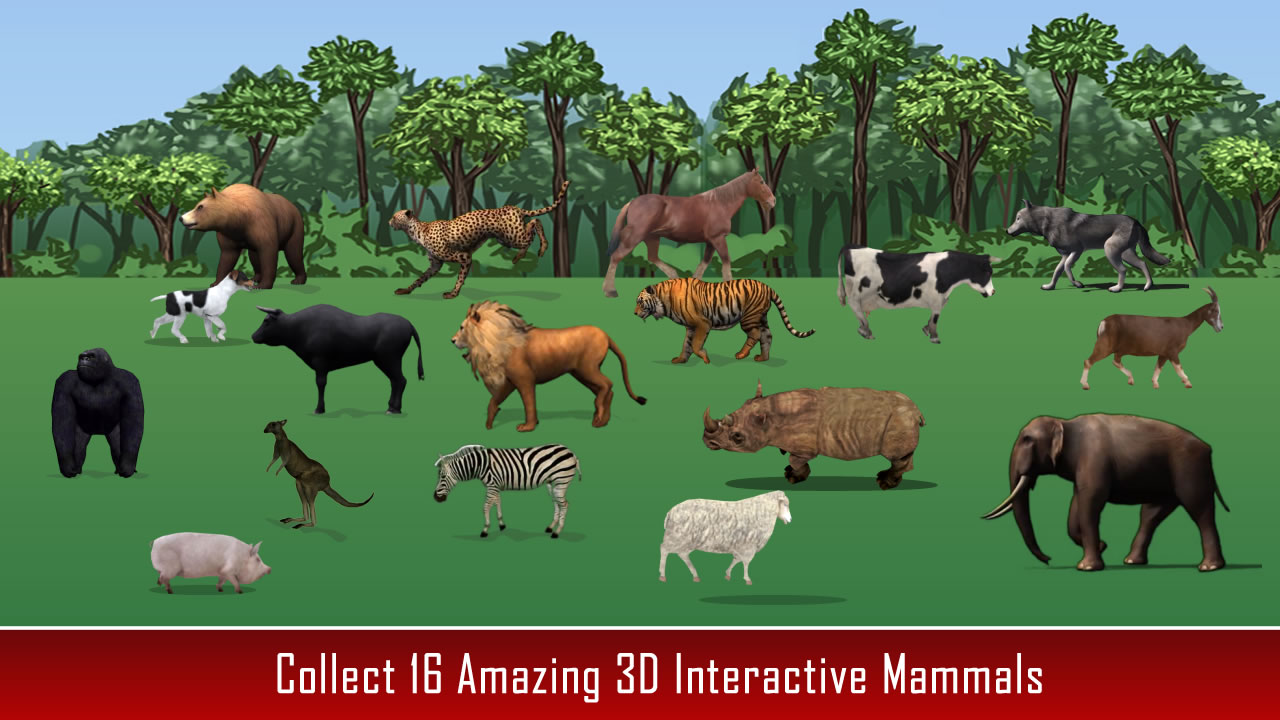 Animal Kingdom Science For Kids - App on Amazon Appstore
