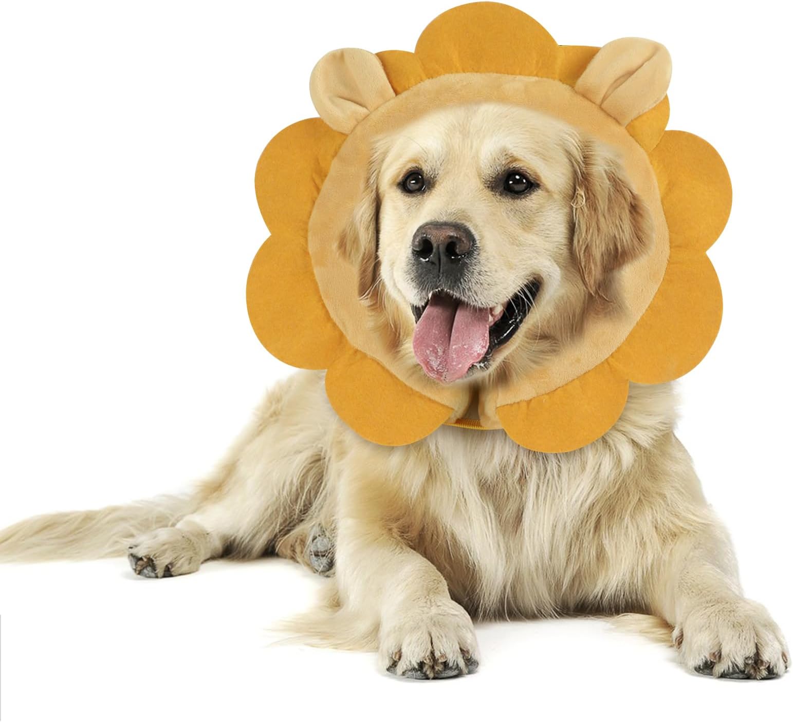 Amazon.com : IEUUMLER Inflatable Recovery Dog Collar, Protective Donut ...