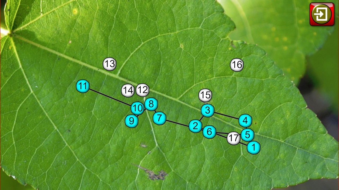 Kids Insect Letter Number Logic and Maze Games - learning fun for ...