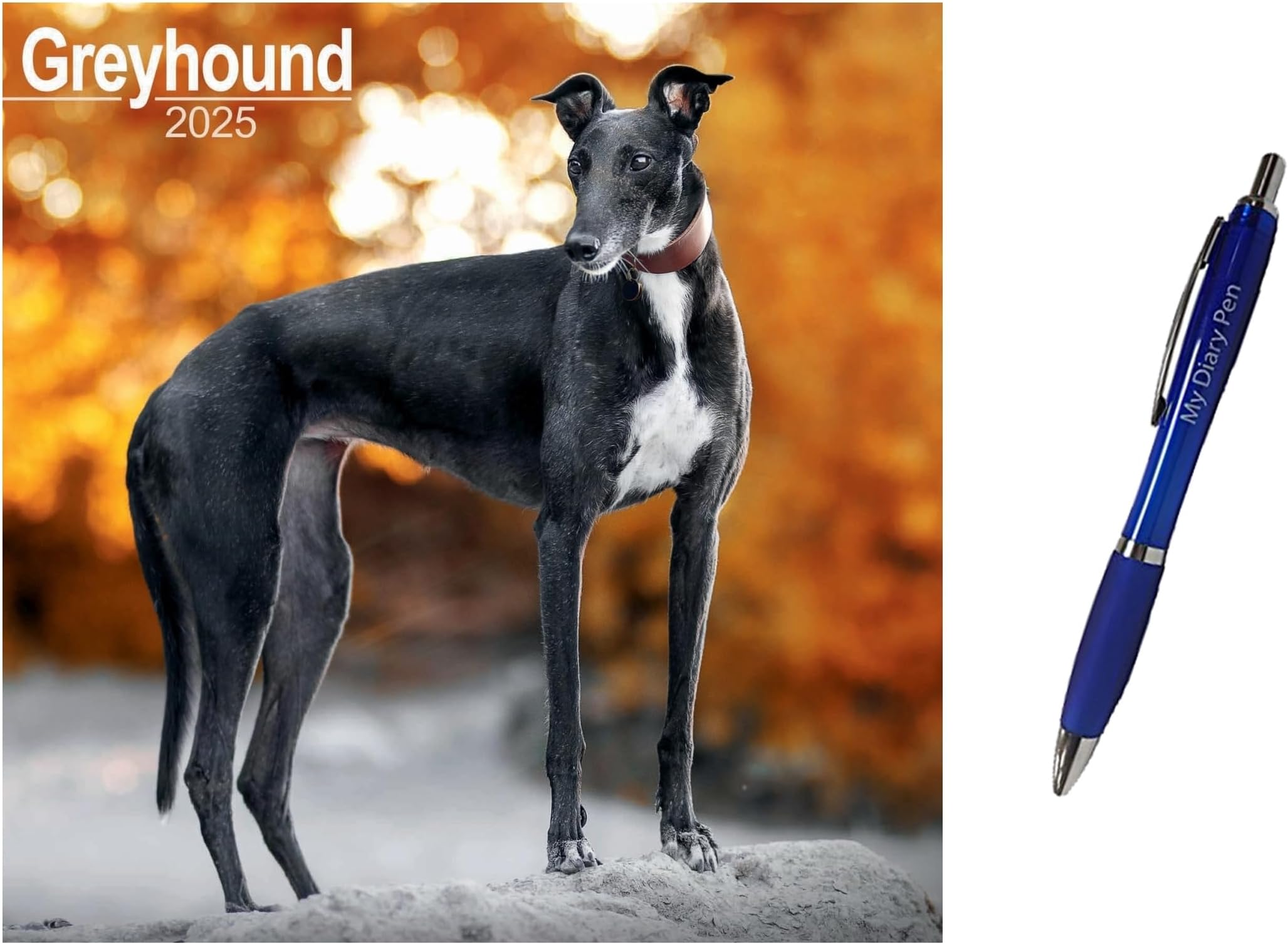 Amazing Planet Wall Calendar (PFP) 2025 + EXCLUSIVE LIMITED EDITION PEN ...