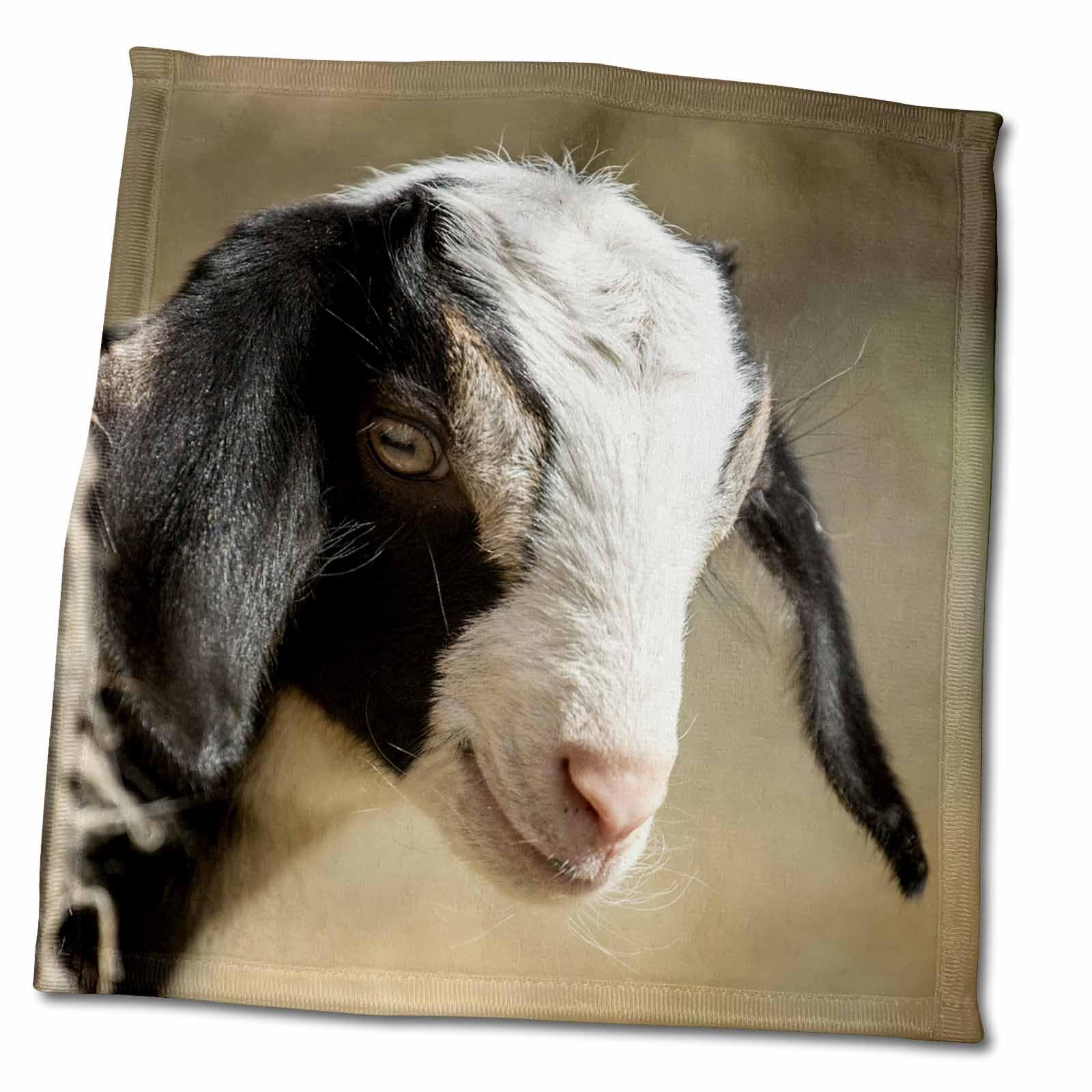 Boer Goat Face