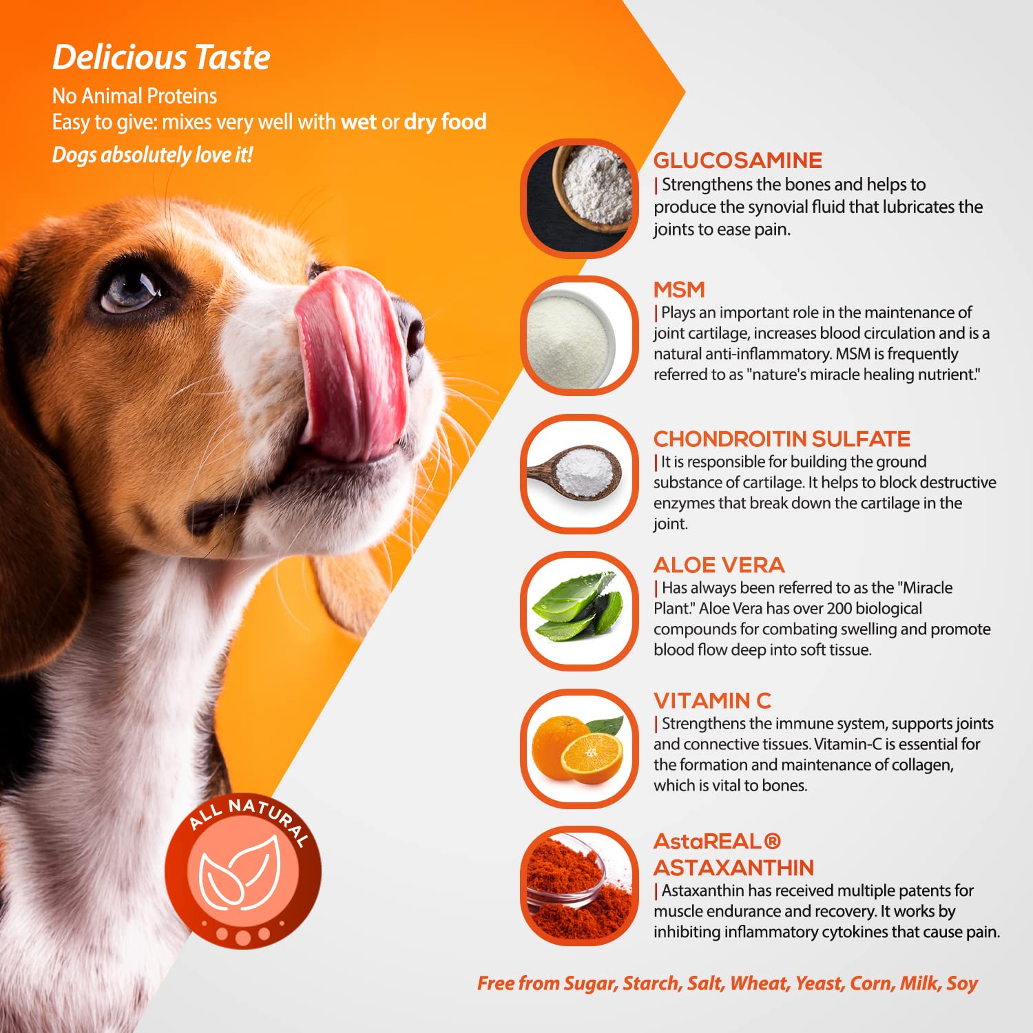Does Meloxicam For Dogs Need To Be Refrigerated