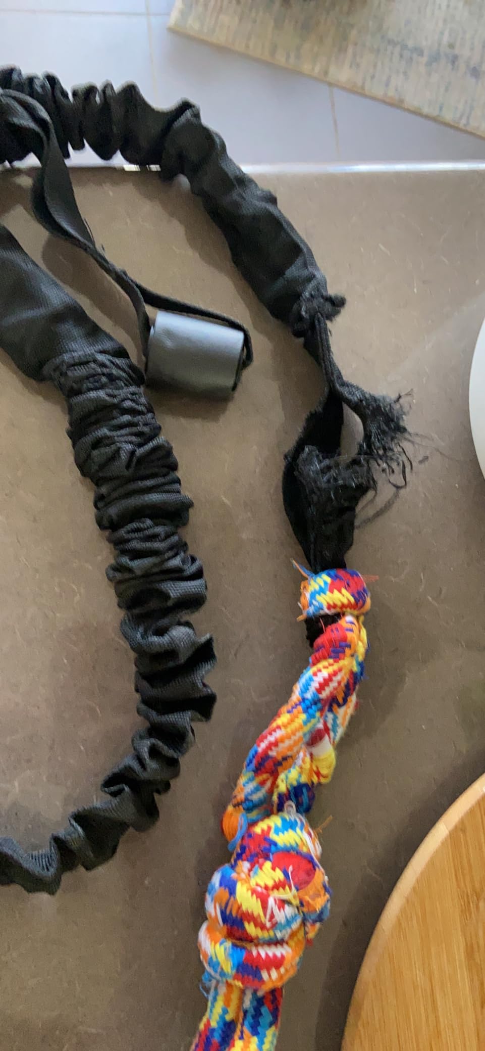 Spring Pole Dog Rope Toys Outdoor Dog Tug of War Toy for Pitbull Medium ...