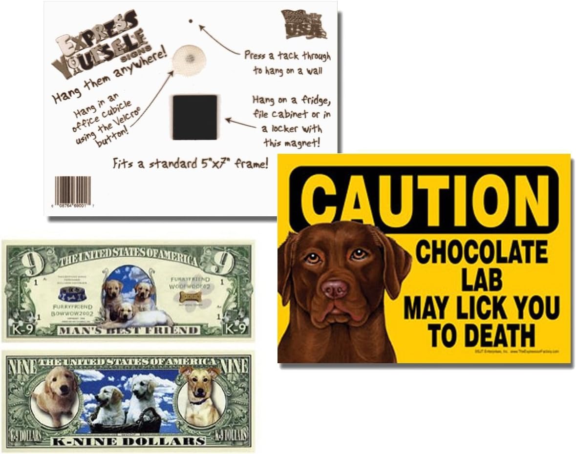 Amazon.com: Labrador Retriever (chocolate) 2 Pack "Caution Chocolate ...