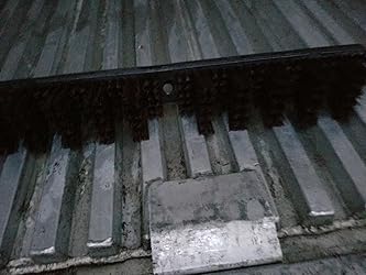 Amazon.com: Dieselboss Reefer Sweeper Trailer Broom (6 Brooms) : Health ...