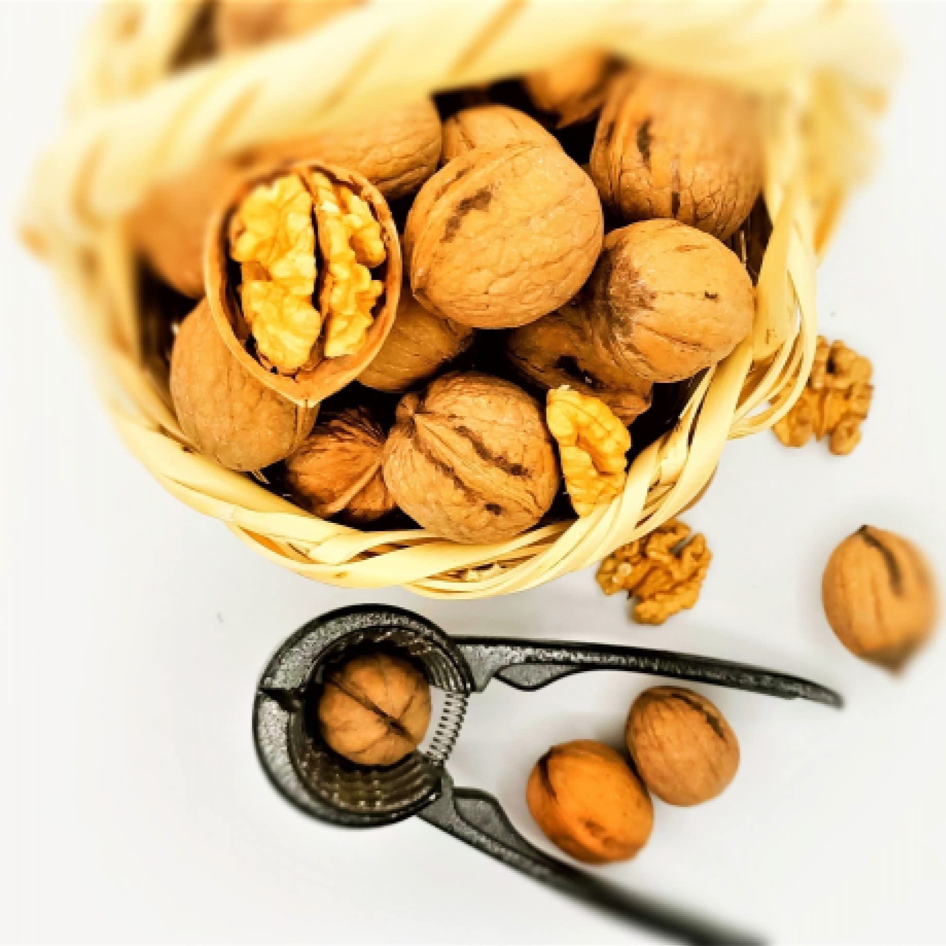 Walnut Walnut | Dobies