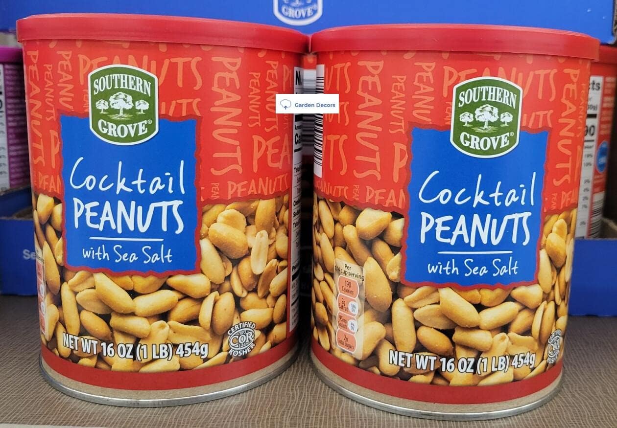Amazon.com: PLANTERS Lightly Salted Peanuts, Dry Roasted Nuts ...