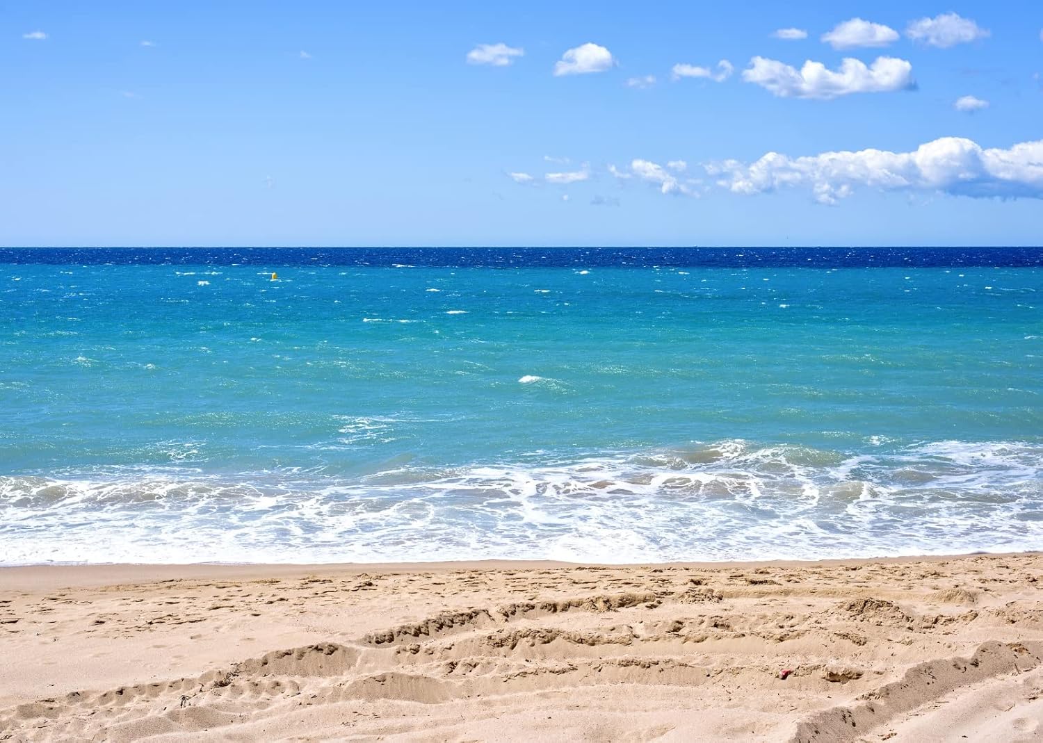 Amazon.com : BELECO 8x6ft Fabric Tropical Beach Backdrop - Ocean Wave ...