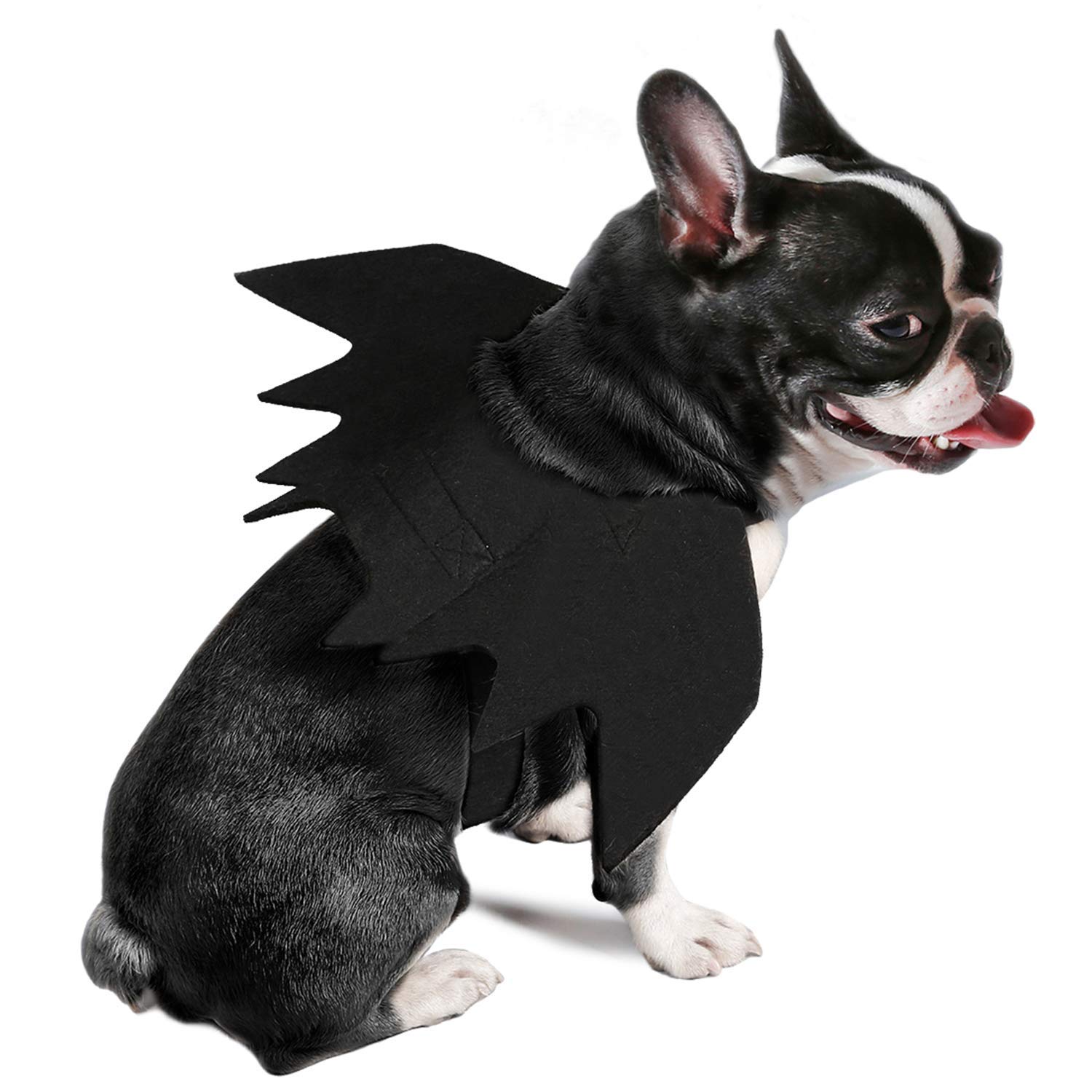 Snapklik.com : Dog Bat Costume - Halloween Pet Costume Bat Wings ...