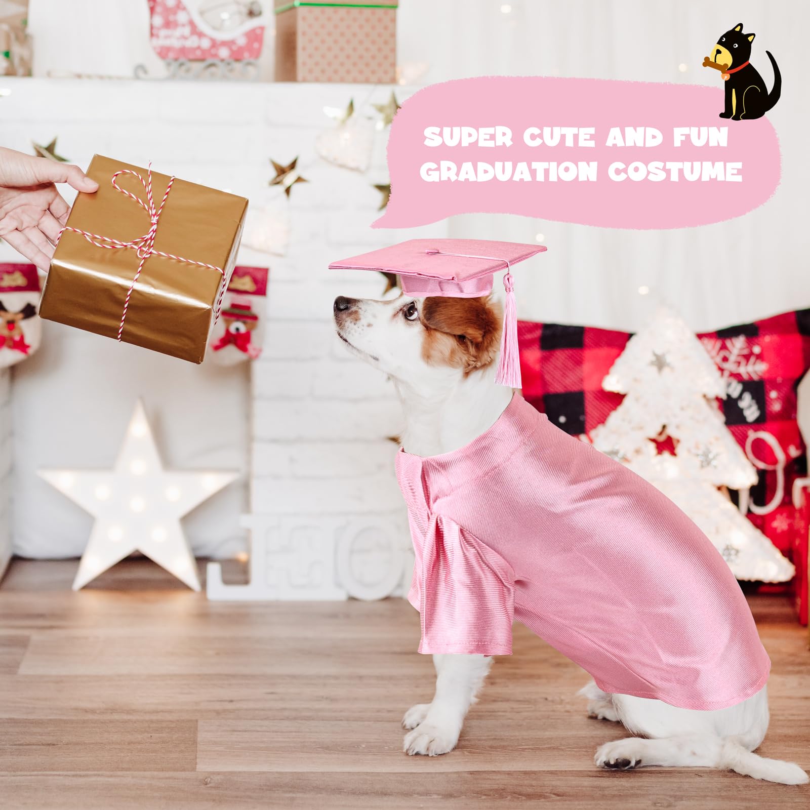 Snapklik.com : Dog Graduation Cap And Gown, Dogs Cats Graduation ...