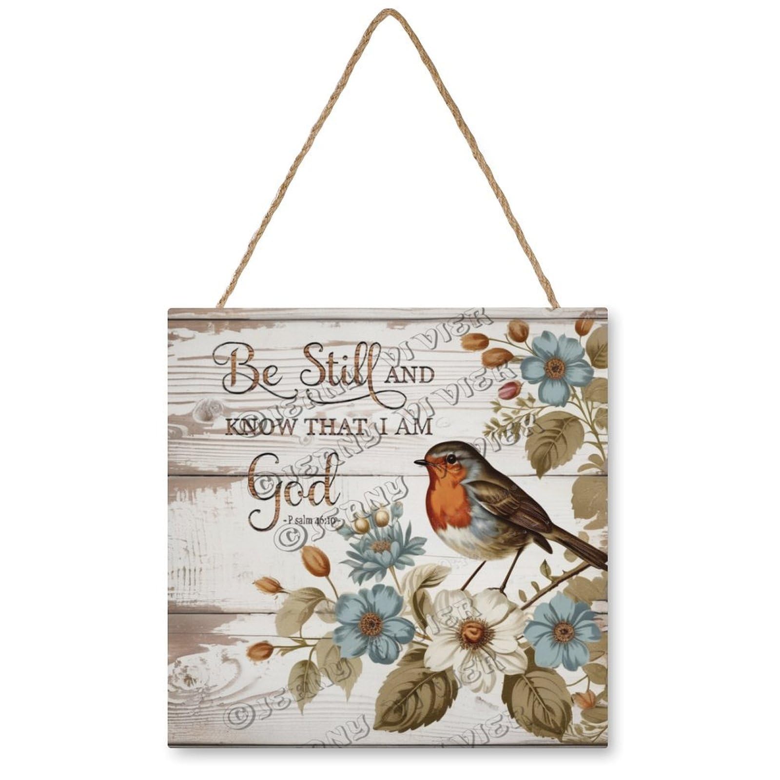 Amazon.com: Finamille Robin Wooden Sign Robin Bird Hanging Wood Plaques ...