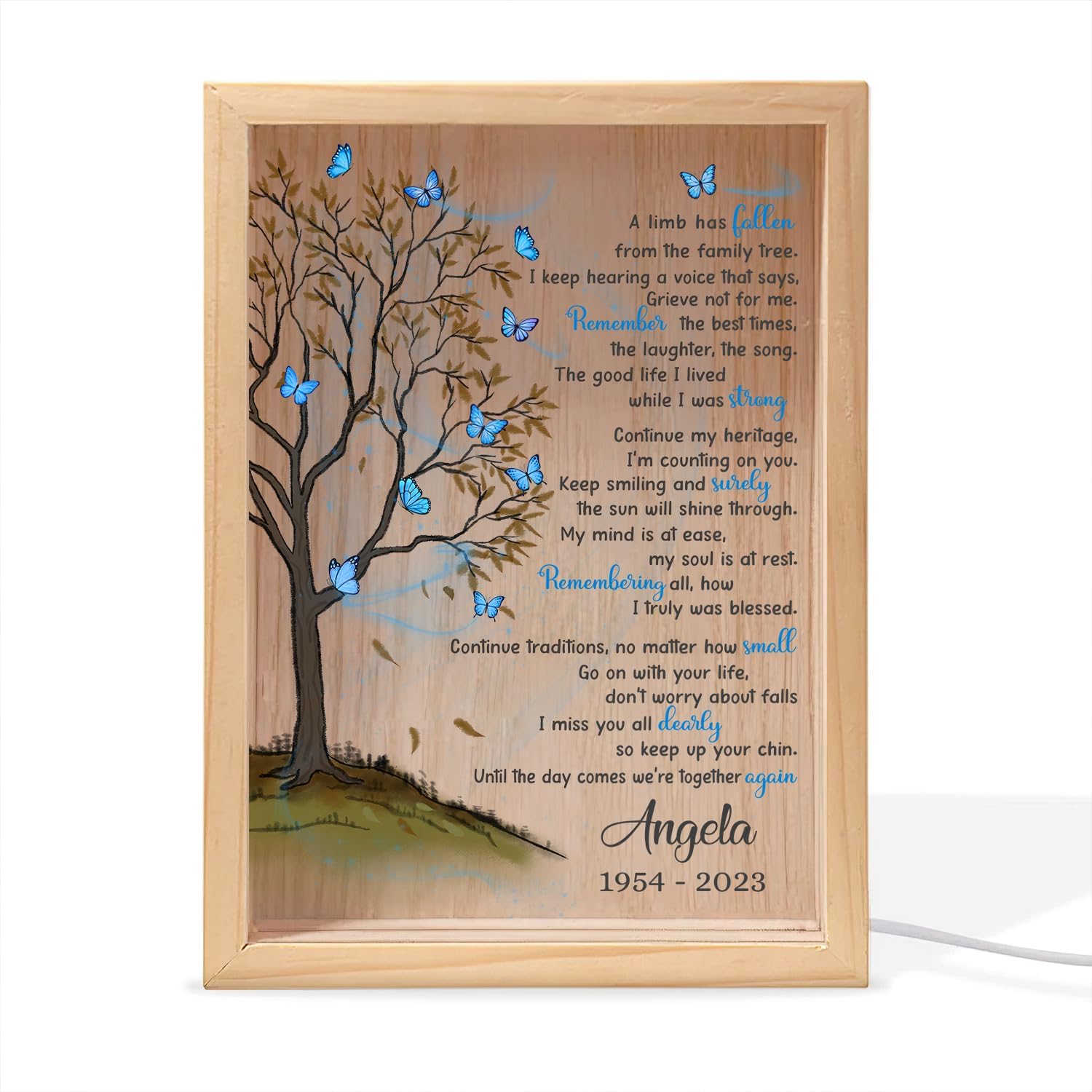 Amazon.com - CustomizeAF Sympathy Gift LED Shadow Box Picture Frame ...