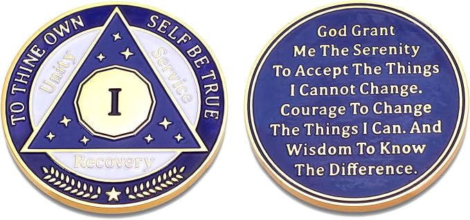 Amazon.com : 1 Year Sobriety Gifts AA Coin and Medallions for Women Men ...