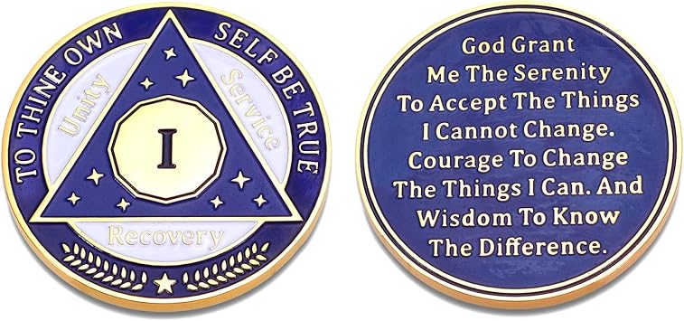 Amazon.com : 1 Year Sobriety Gifts AA Coin and Medallions for Women Men ...