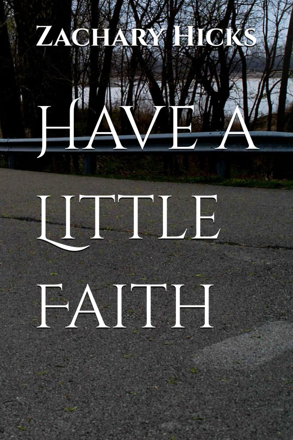 Amazon.com: Have a Little Faith: 9798990452206: Hicks, Mr Zachary ...