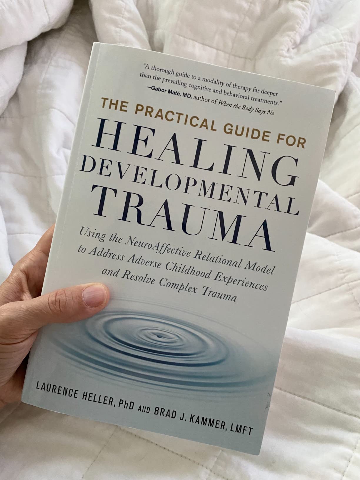 The Practical Guide for Healing Developmental Trauma: Using the ...