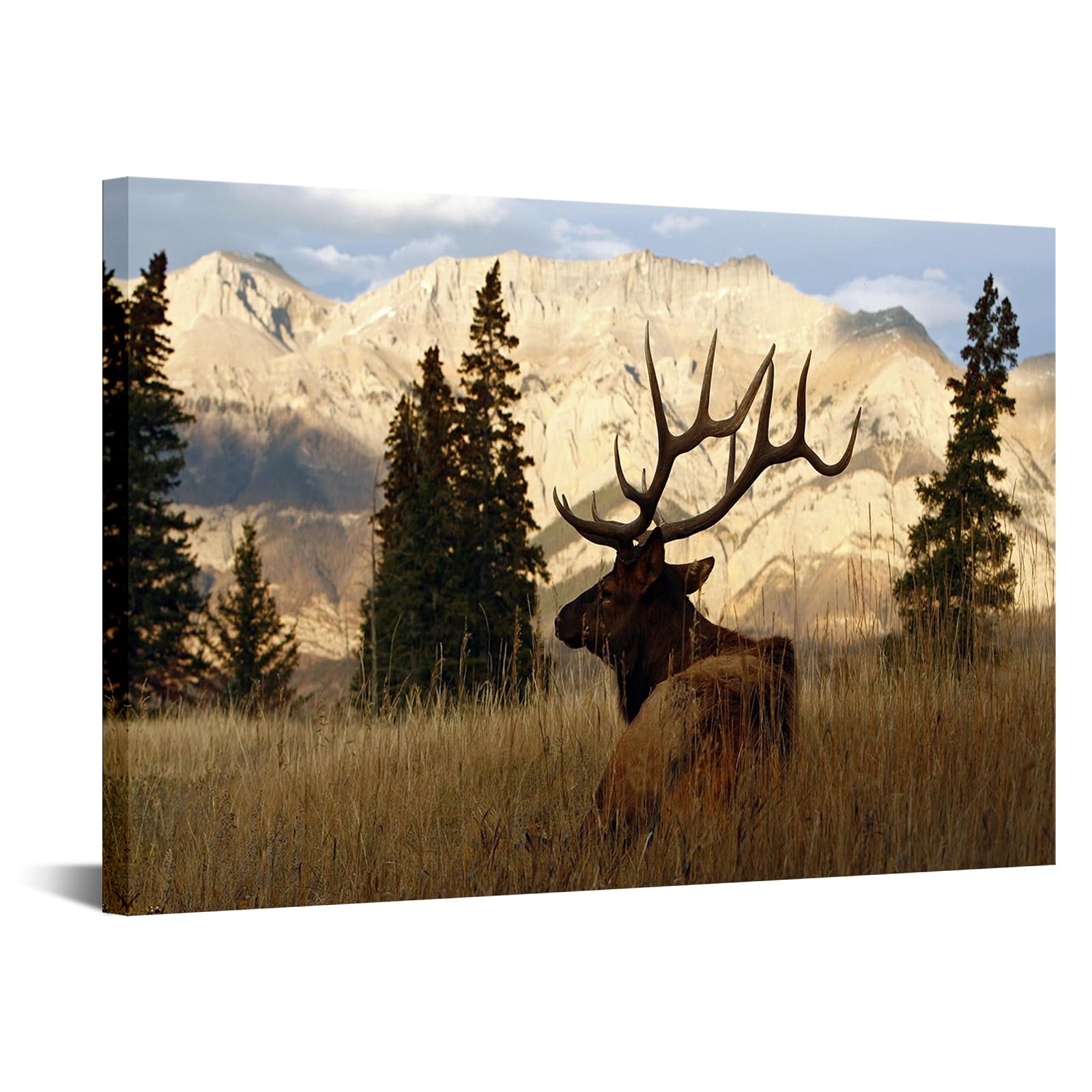 Amazon.com: VVOVV Wall Decor Deer Pictures Elk Wall Art Wildlife Animal ...