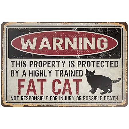 Amazon.com: Lenrius Funny Fat Cat Sign Warning Vintage Style Metal Sign ...