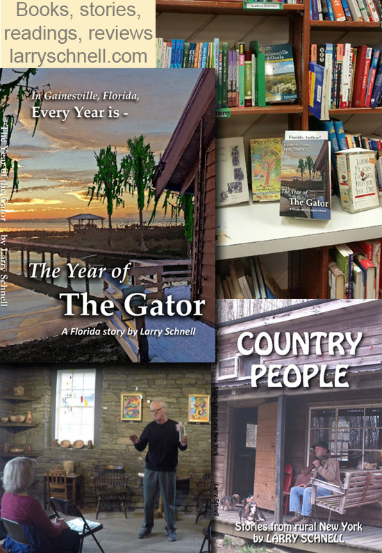 Amazon.com: Larry Schnell: books, biography, latest update