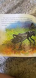 Chirping Crickets (Let's-Read-and-Find-Out Science, Stage 2): Berger ...
