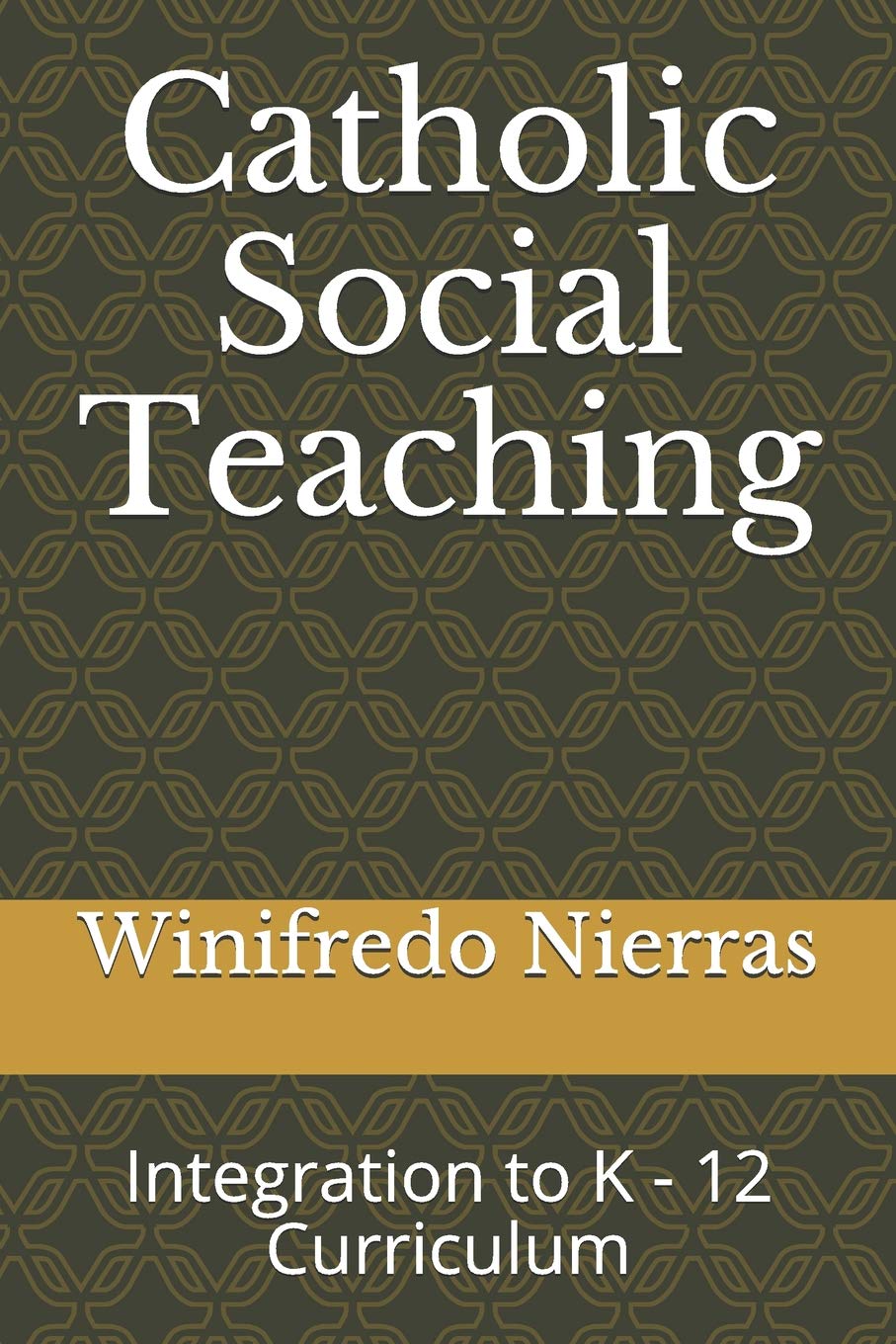Amazon.com: Catholic Social Teaching: Integration to K - 12 Curriculum ...