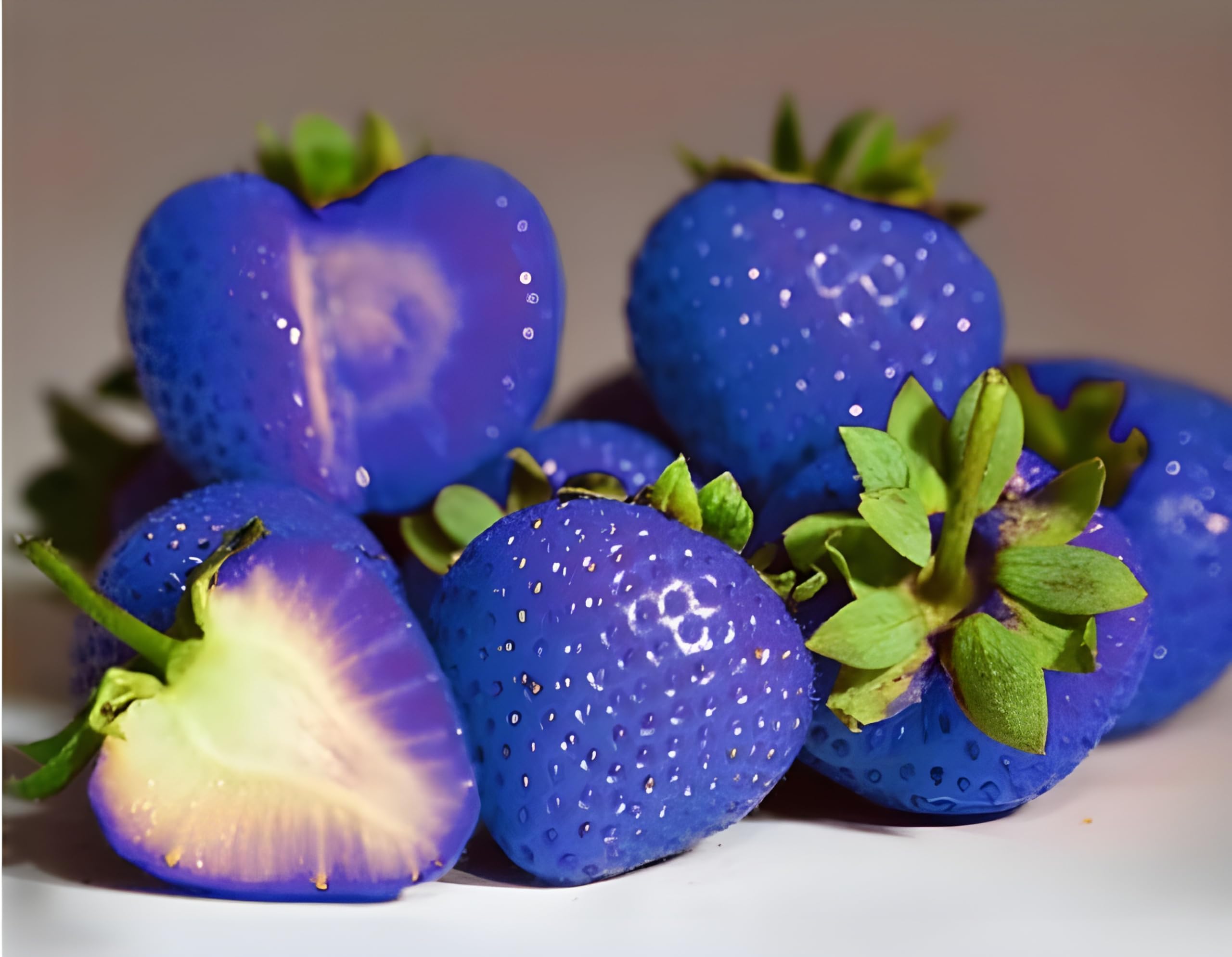Green view Sweet Blue Strawberry Live Plant/Grafted Plant For Home ...