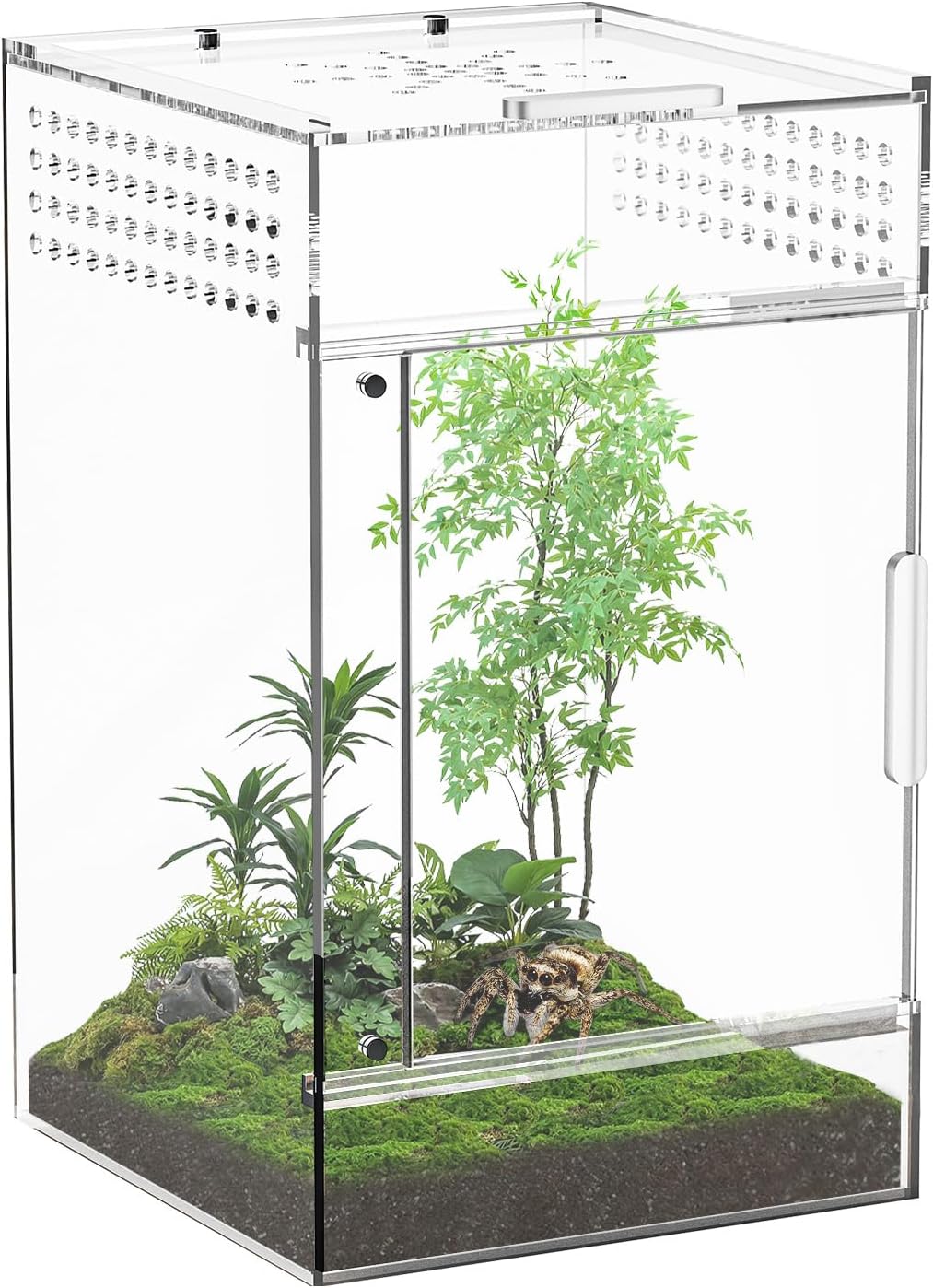 Amazon.com : BVOPLME Jumping Spider Enclosure, One-Piece Fully ...