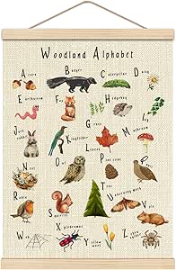 Amazon.com: HKTZM Woodland Alphabet Poster, 17x12.5 Inch, Canvas Wall ...