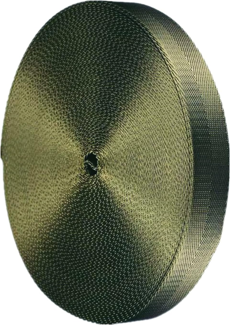 Amazon.com : 1 Inch Wide Heavy Duty Nylon Webbing Strap for Bags ...