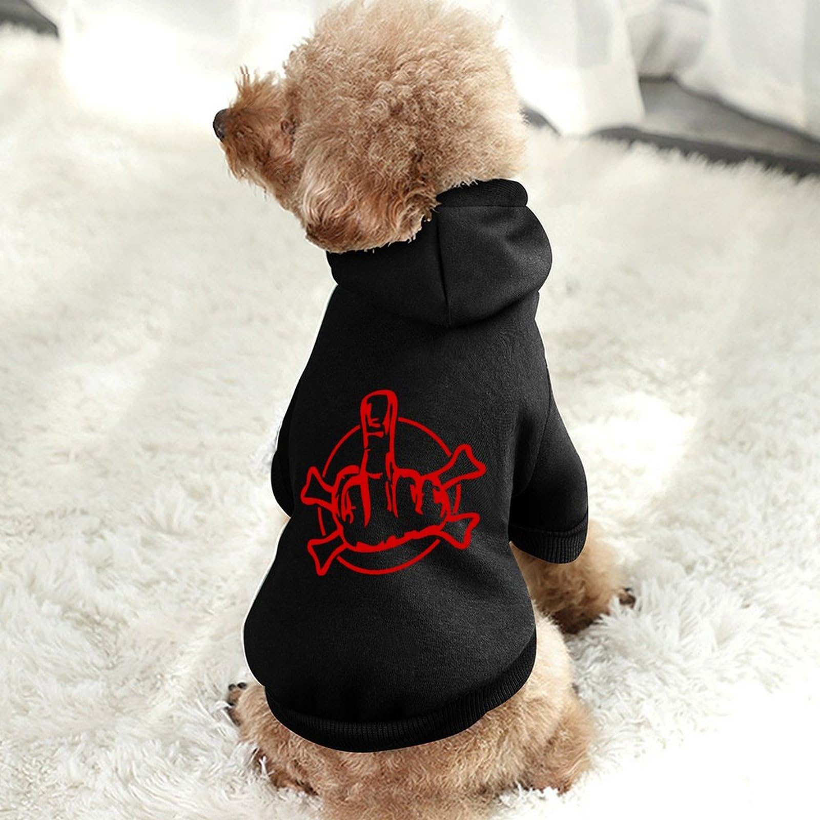 Dog Middle Cute