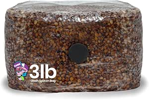 Amazon.com : Premium 3lb Grain Spawn Bag- 100% Sterile, Hydrated Grains ...