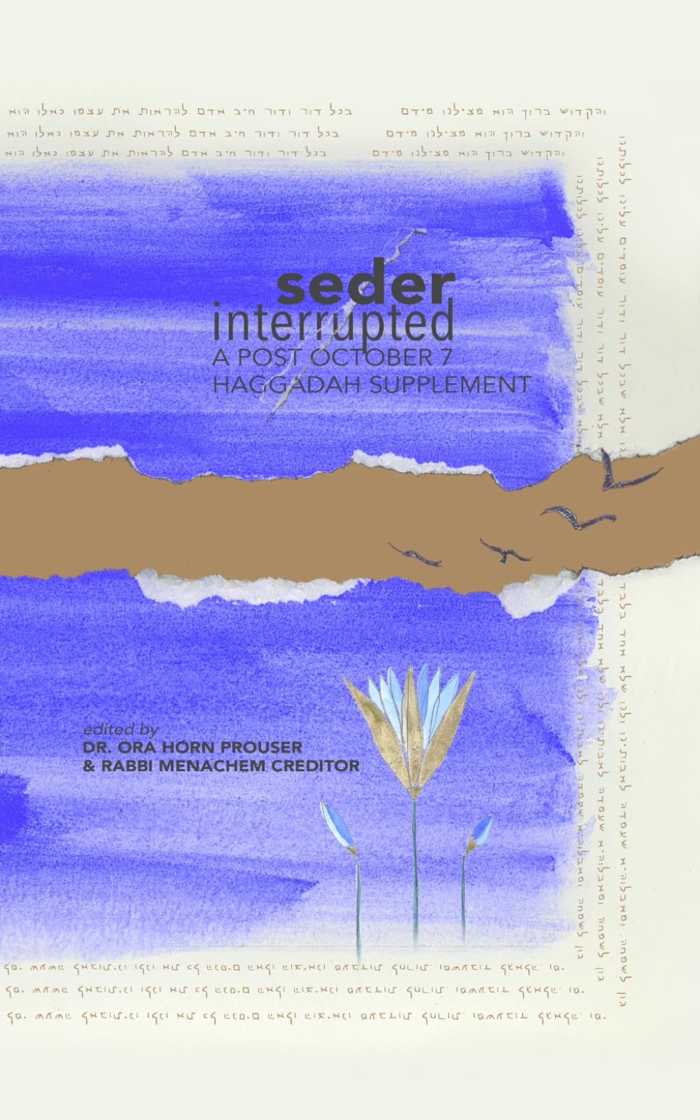 Seder Interrupted: A Post-October 7 Hagaddah Supplement (October 7 Book ...