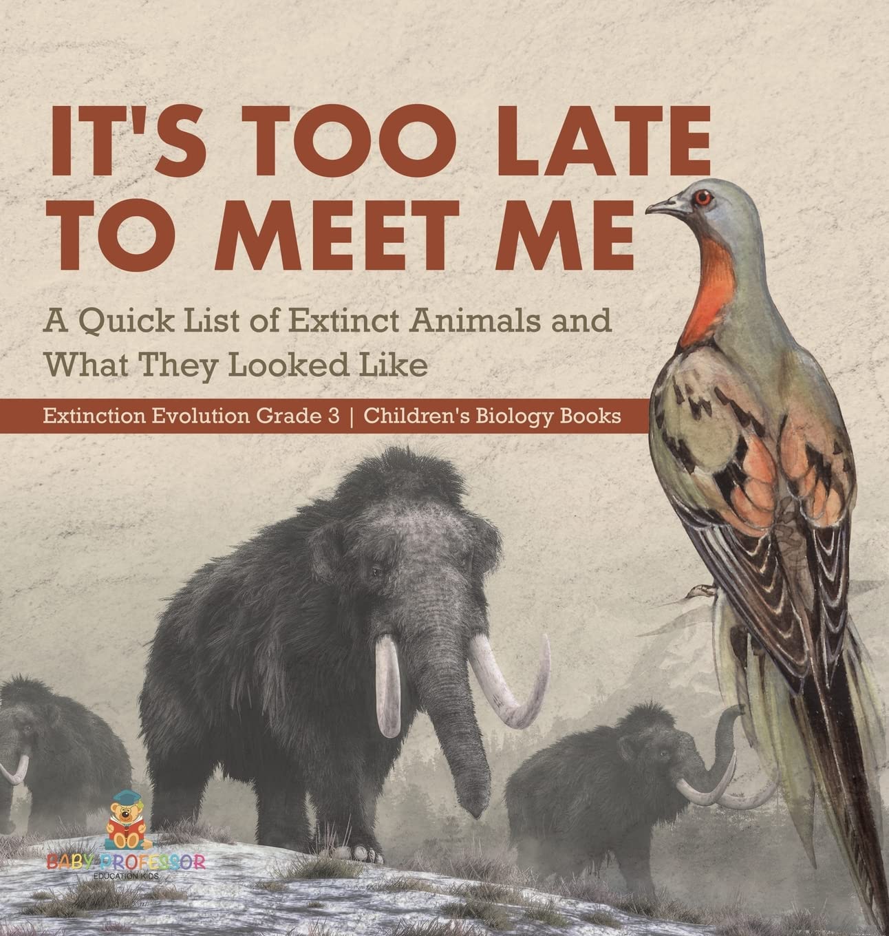 Buy It's Too Late to Meet Me: A Quick List of Extinct Animals and What ...