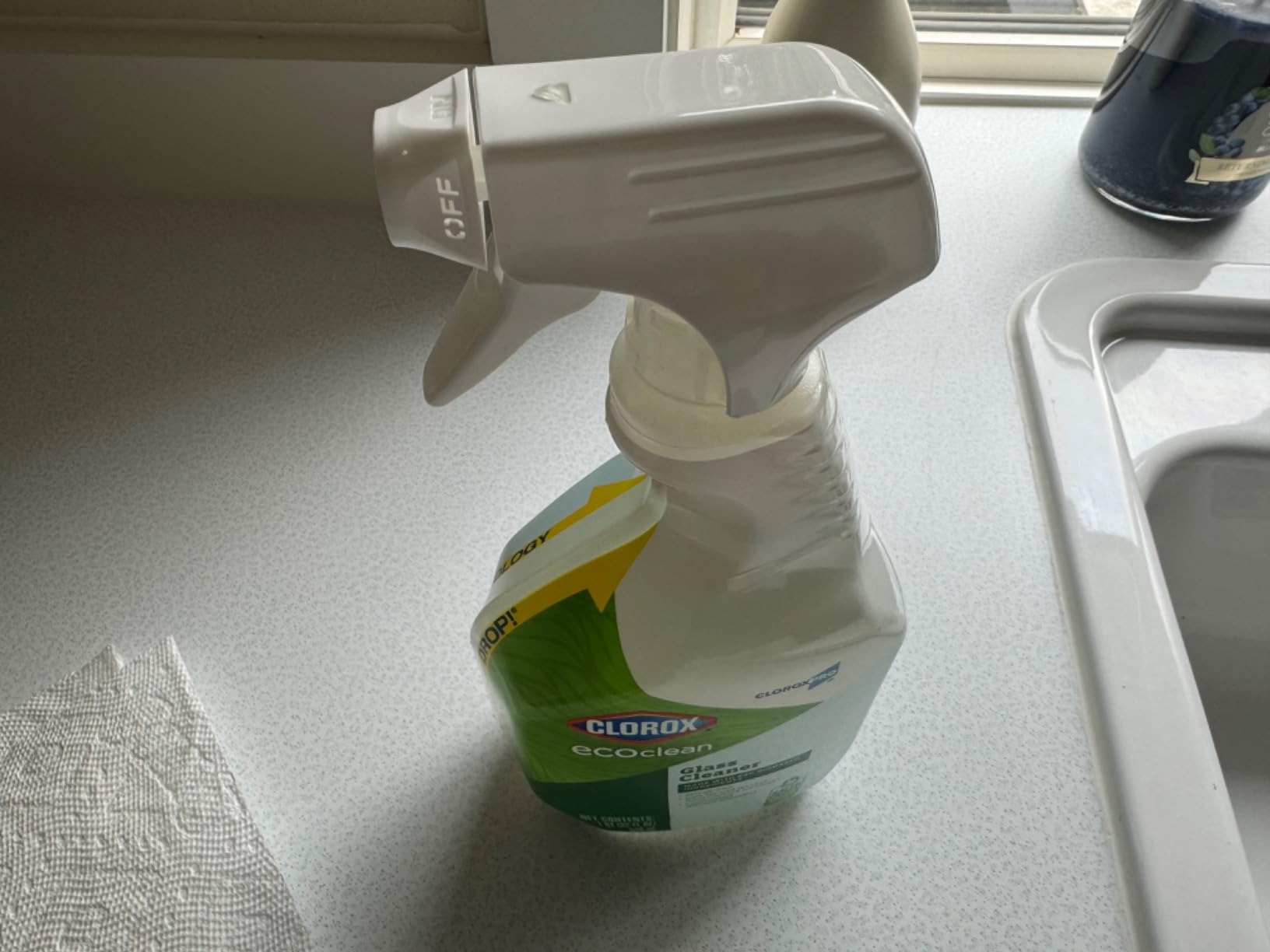 CloroxPro Clorox EcoClean Glass Cleaner Spray Bottle, 32 Fluid Ounces ...