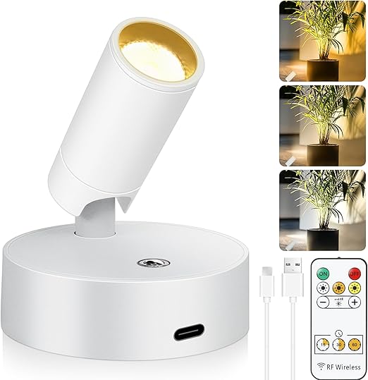 Wireless LED Spot lights Indoor Battery Operated with Remote ...